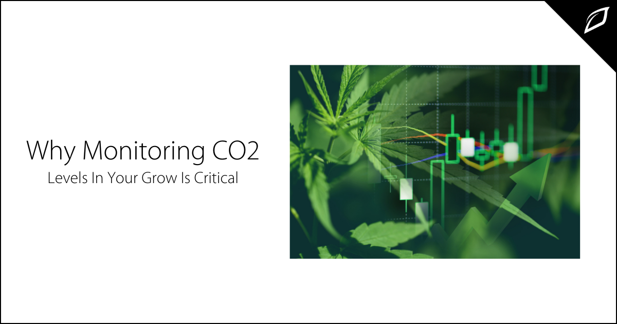 Why Monitoring Co2 Levels In Your Grow Is Critical Growlink